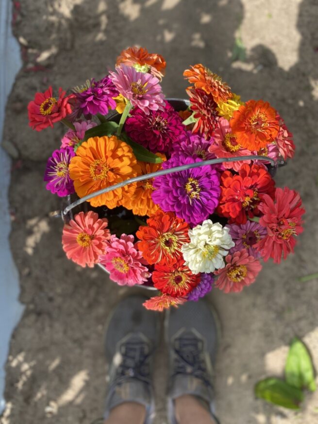 RCE of Mercer County Welcomes Justine Gray! – Rutgers Cooperative ...