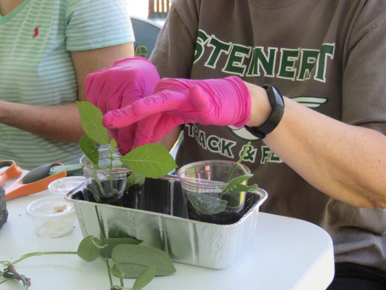 Plant Propagation Workshop hosted by Rutgers Master Gardeners of Mercer ...